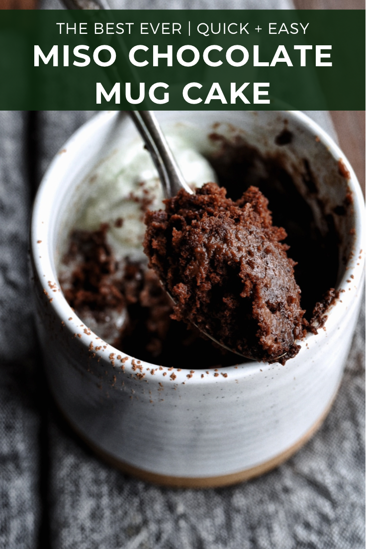 Easy Easy Chocolate Mug Cake with Miso | The Subversive Table
