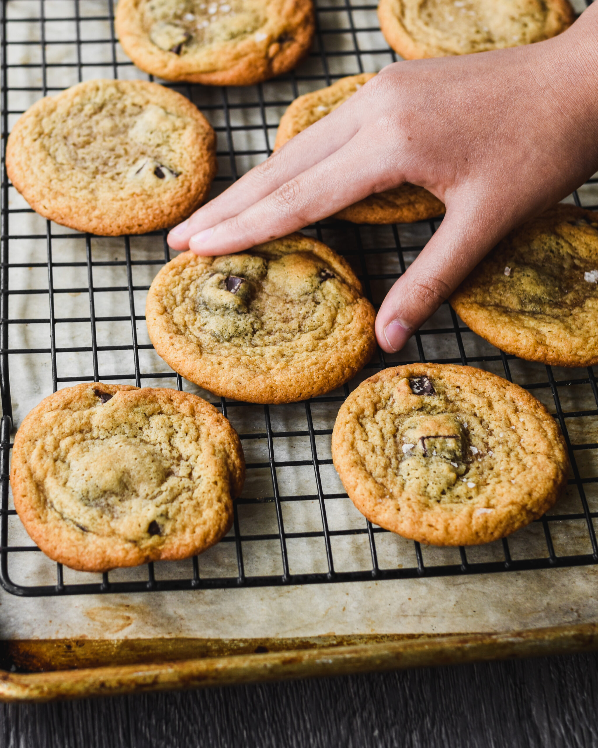 Malted Chocolate Chip Cookies | The Subversive Table