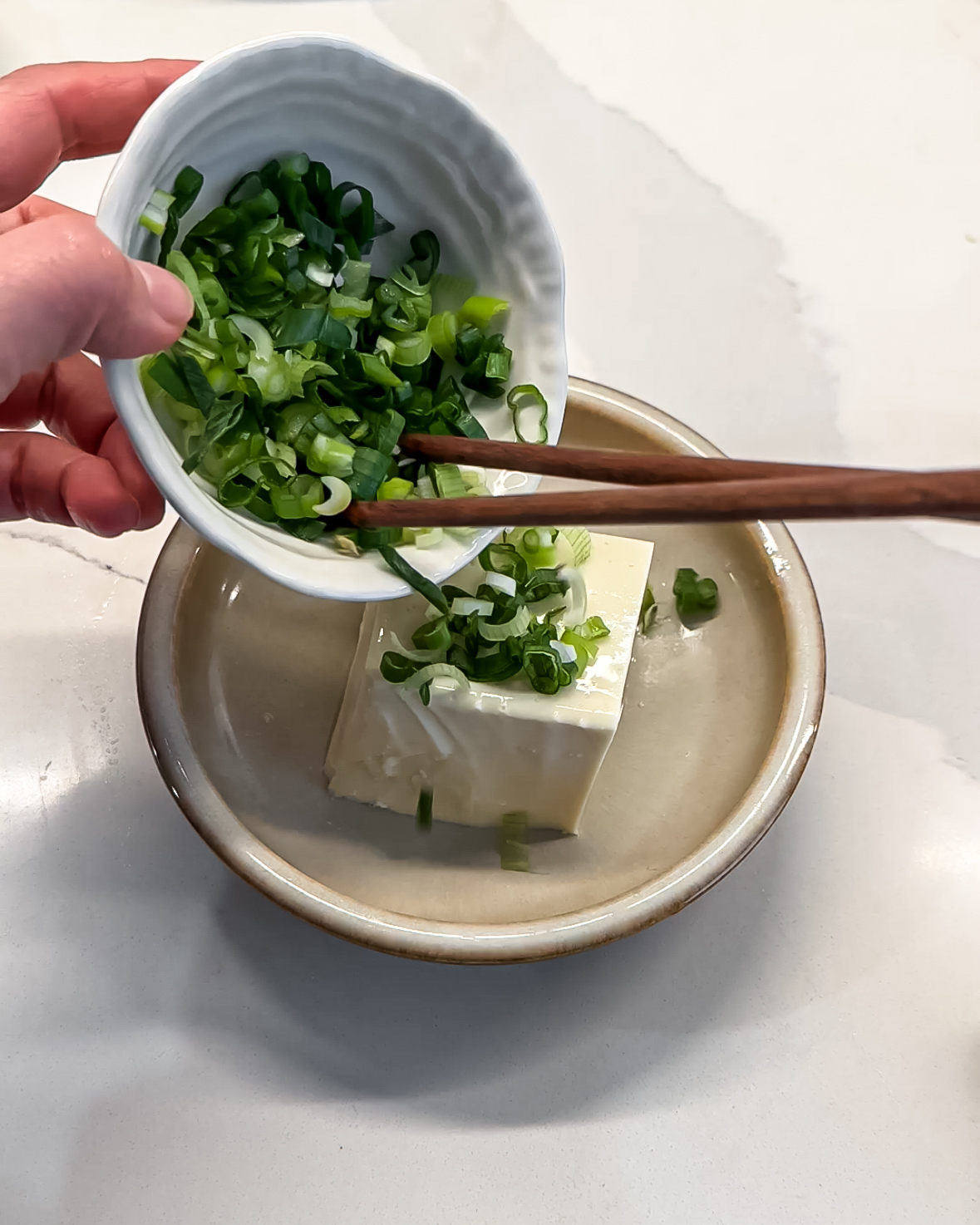 Easy Japanese Cold Tofu (Hiyayakko) | The Subversive Table